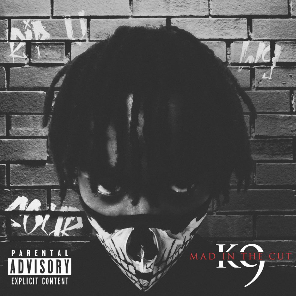 Download London rapper K9's exceptional Mad in the Cut mixtape, feat ...