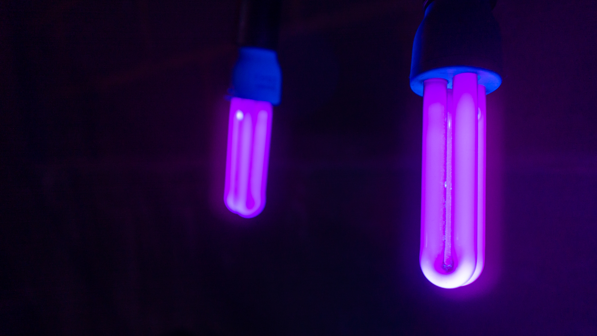 Chen Wei – Various Works