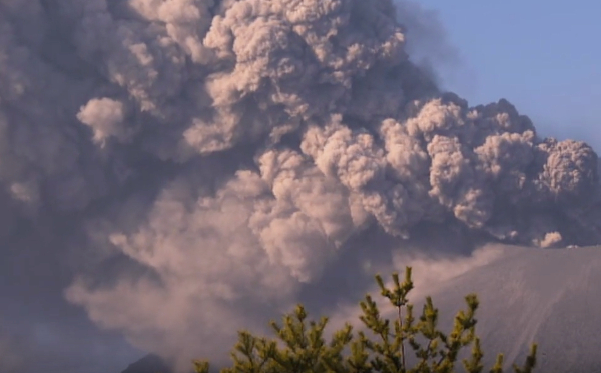 N.A.A.F.I. celebrates its tenth anniversary with N.A.A.F.I. X compilation